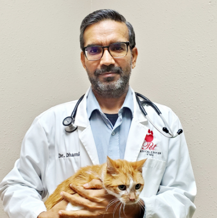 Our Katy, TX Veterinarians | Pet Medical Center of Katy