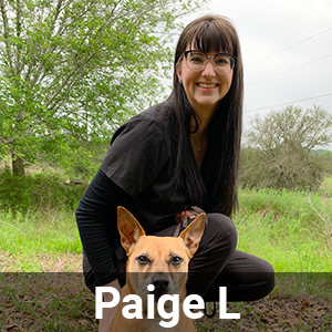 Our Animal Hospital Staff | Dripping Springs Animal Hospital