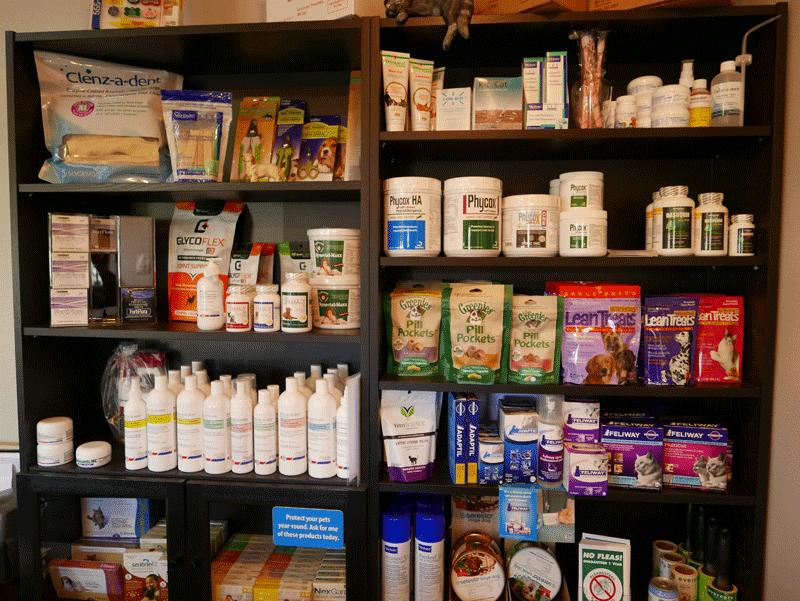 Gallery | Cascade Animal Clinic