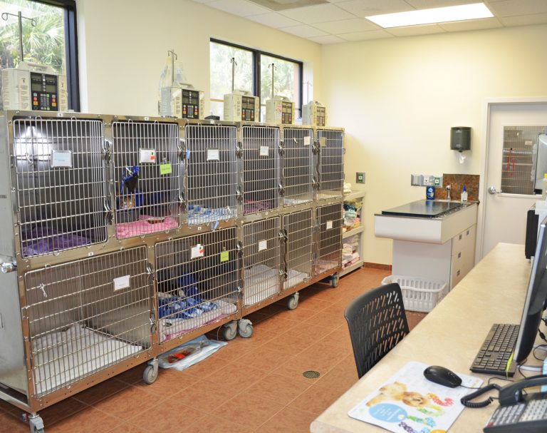 Our Facilities | Florida Veterinary Referral Center (FVRC)