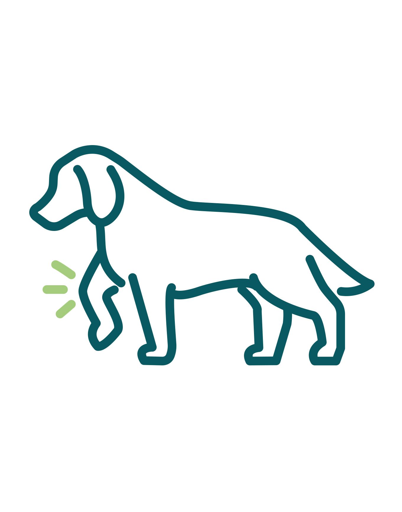 What We Can and Can't Treat | Veterinary Urgent Care - Nashua