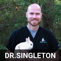 Dr. Brad Singleton | Southwest Vet