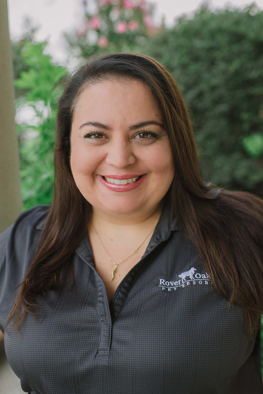 Dog Boarding & Dog Daycare Team | Rover Oaks Pet Resort