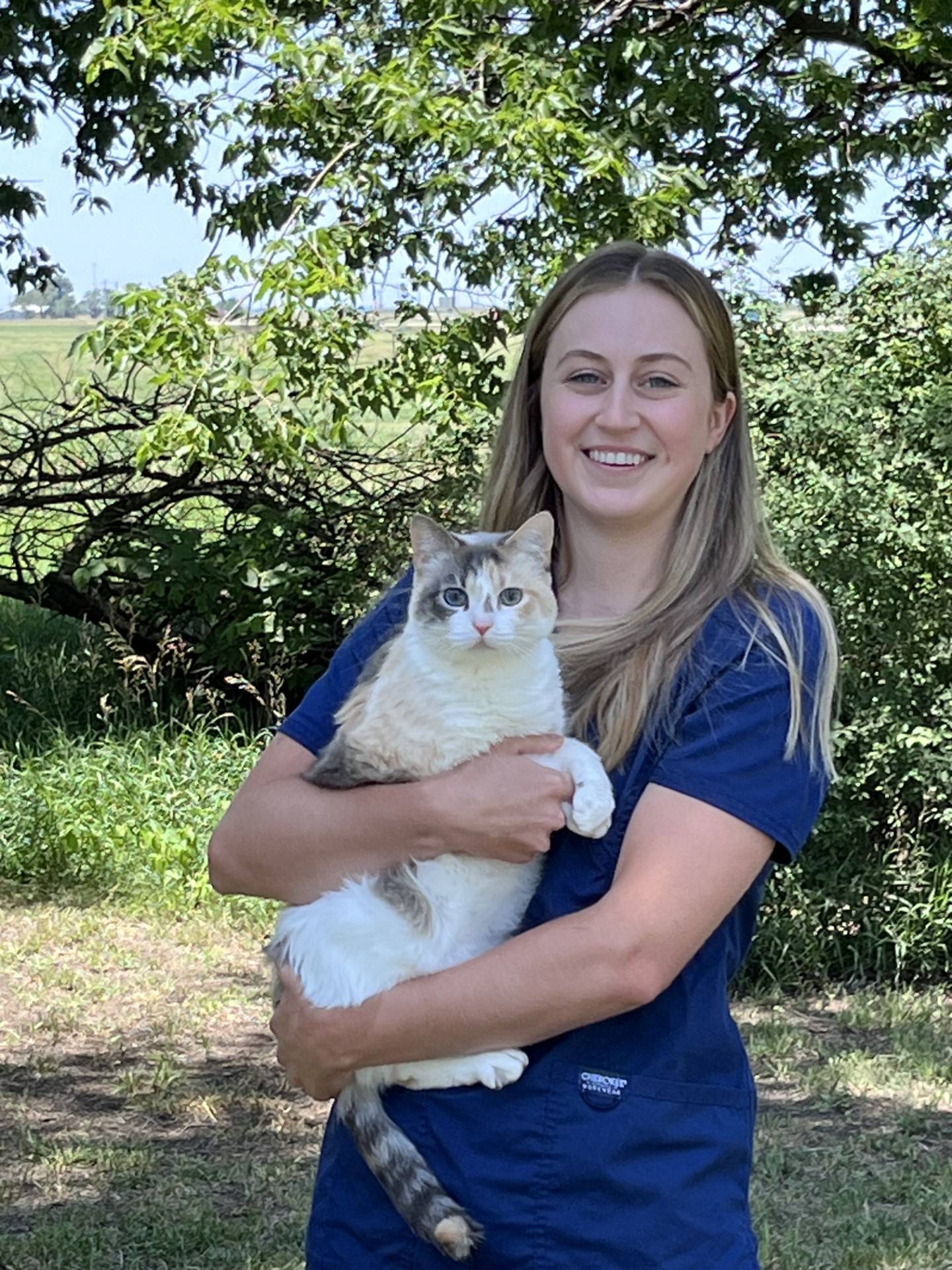 Our Team | Pet Haven Veterinary Clinic