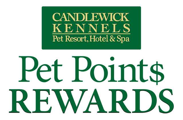 Loyalty Rewards | Candlewick Kennels