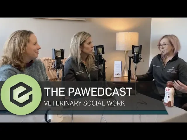 Social Work | Veterinary Specialty Hospital - San Diego