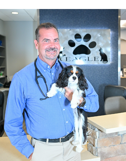 Tiffany Springs Staff | Eagle Animal Hospital