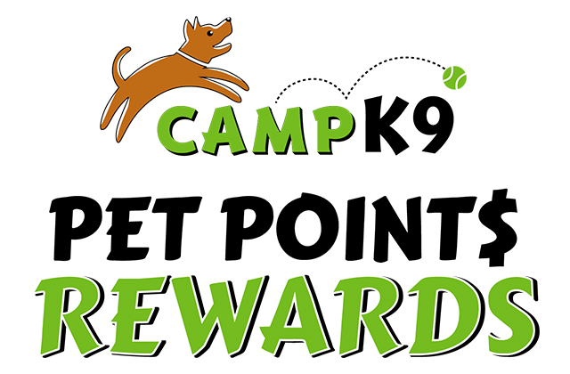 Loyalty Rewards | Camp K9 Pet Resort & Day Camp