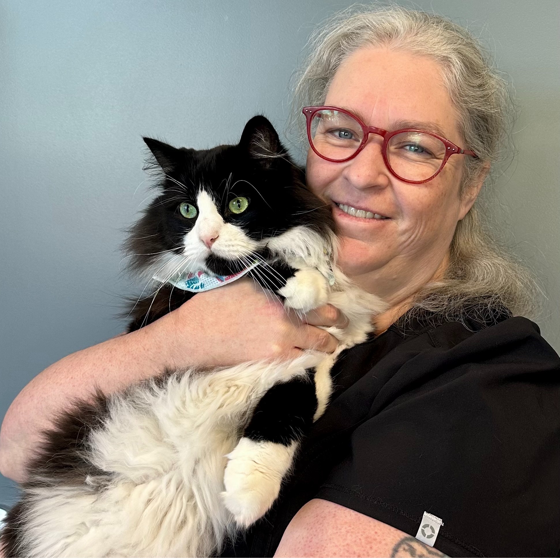 Our Animal Hospital Staff | Burtch Animal Hospital