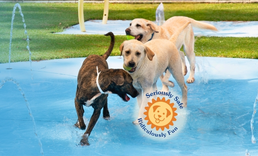 Dog Boarding & Daycare in Glastonbury | Candlewick Kennels