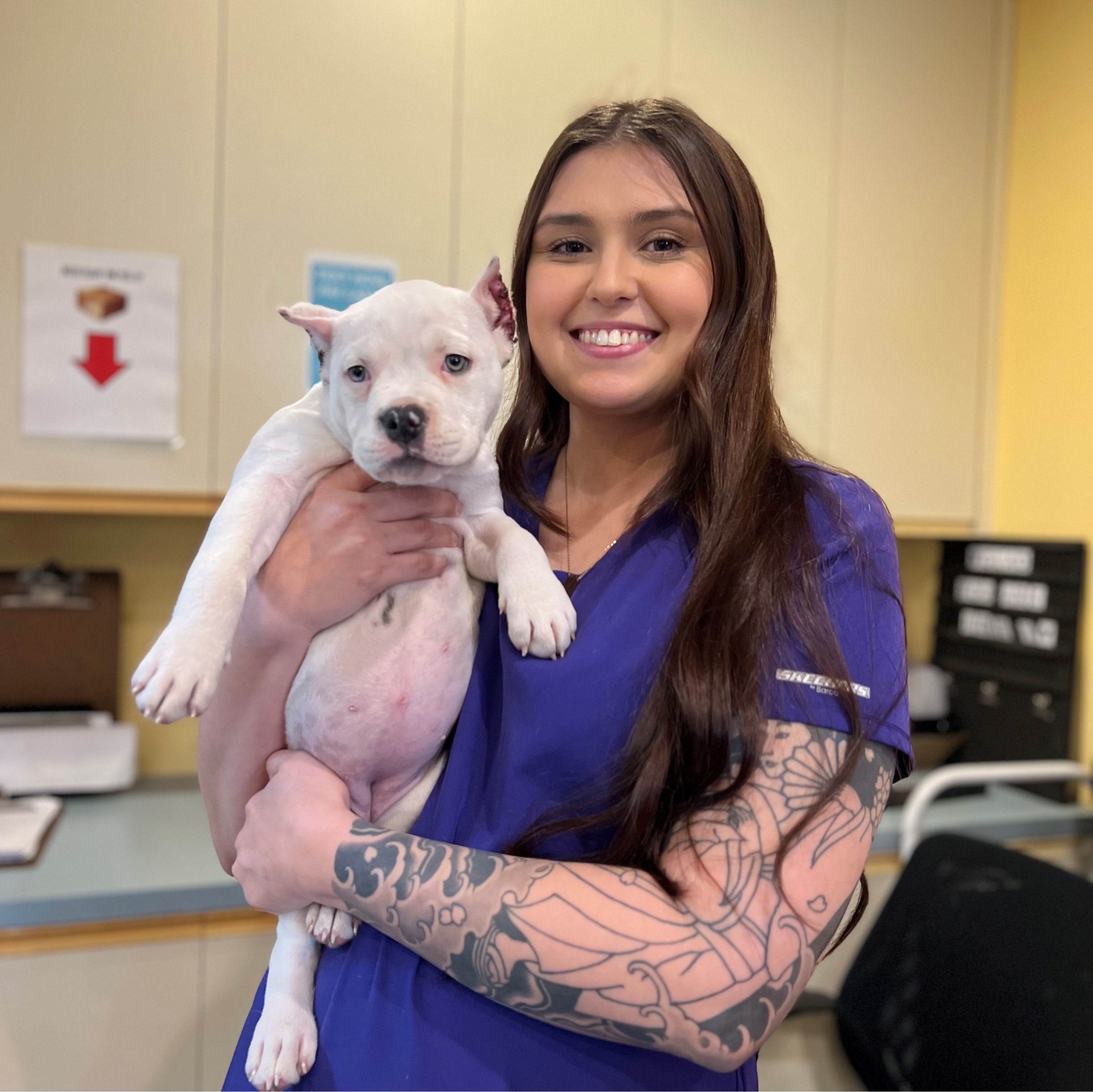 Staff | Roanoke Animal Hospital