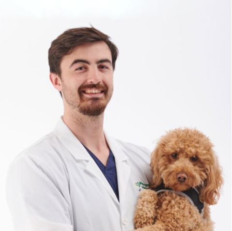 Metropolitan Veterinary Hospital's Staff | Metropolitan Veterinary Hospital