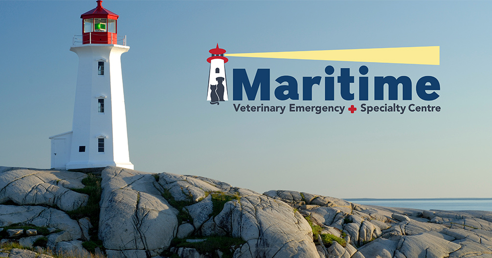 Emergency Vet in Dartmouth, Nova Scotia | Maritime Veterinary Emergency and Specialty Centre