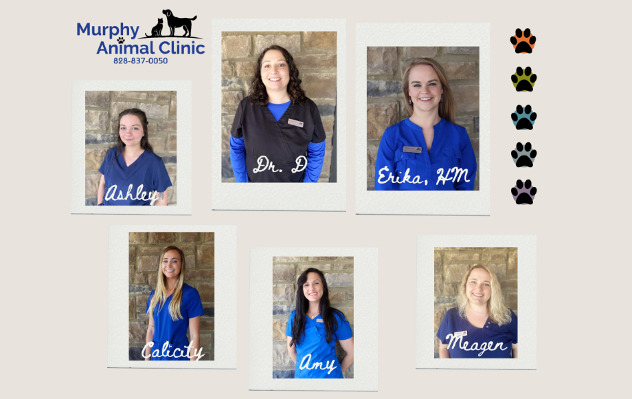 Homepage | Murphy Animal Clinic