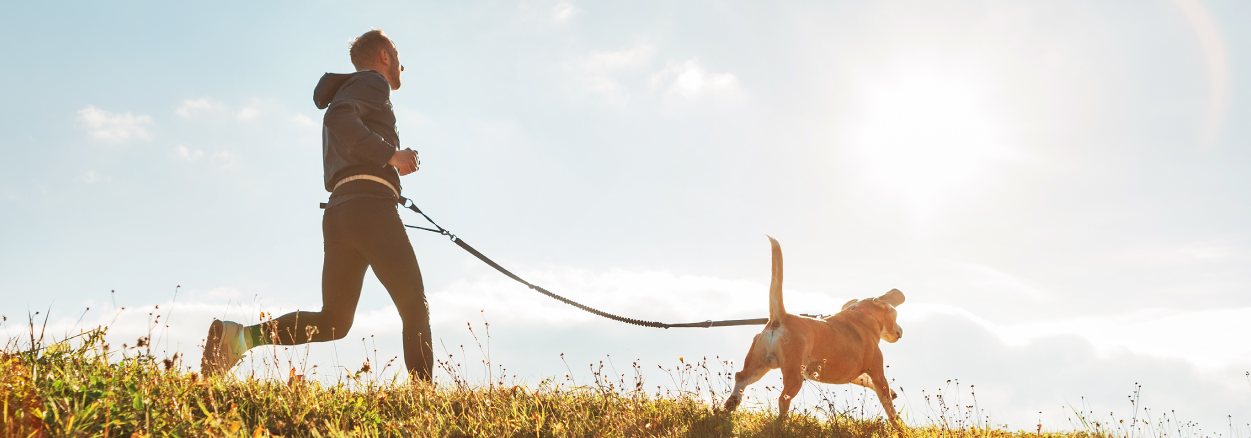 Services | Animal Hospital of Towne Lake