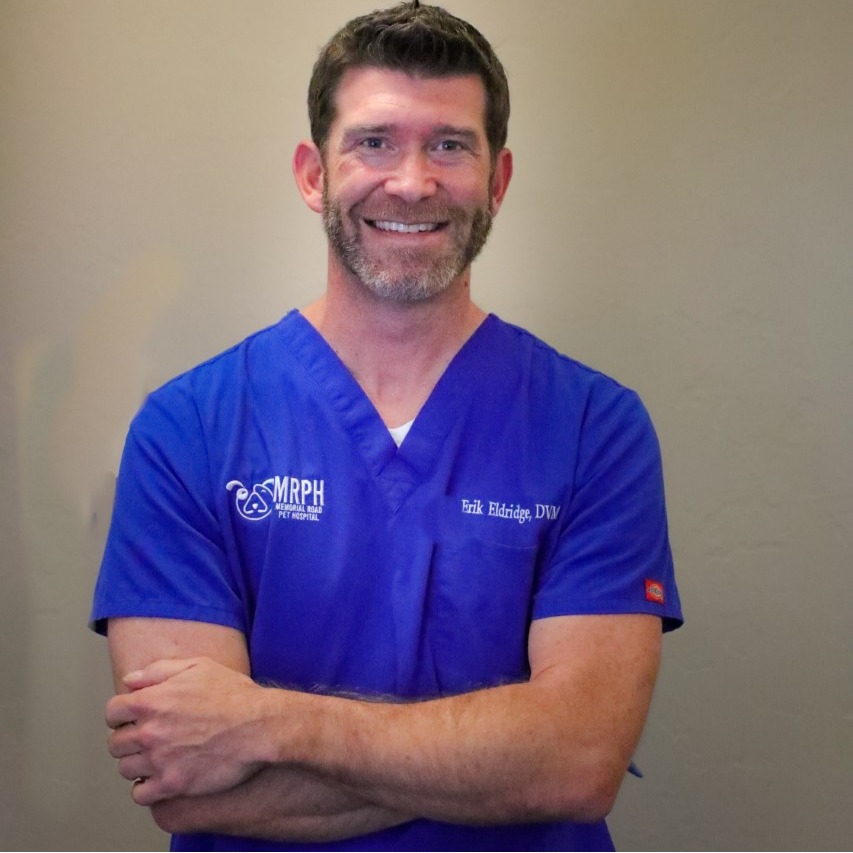 Expert Veterinarian Staff | Memorial Road Pet Hospital