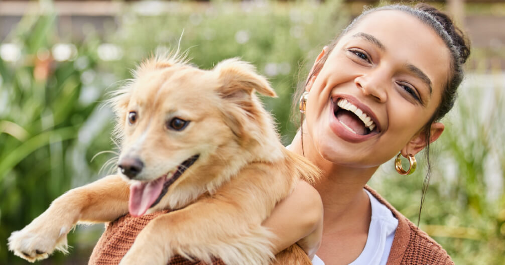 Homepage | Shawme Animal Hospital