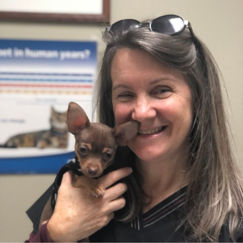 Our Animal Hospital Staff | Burtch Animal Hospital