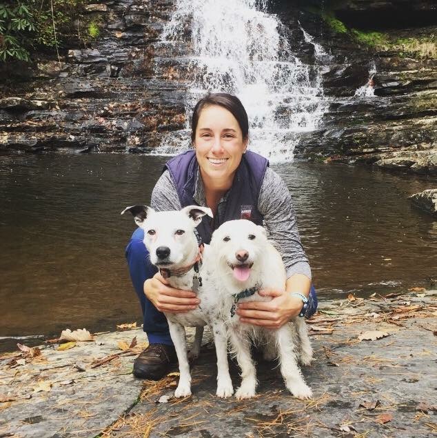 Our Animal Hospital Staff | Taylor Animal Hospital