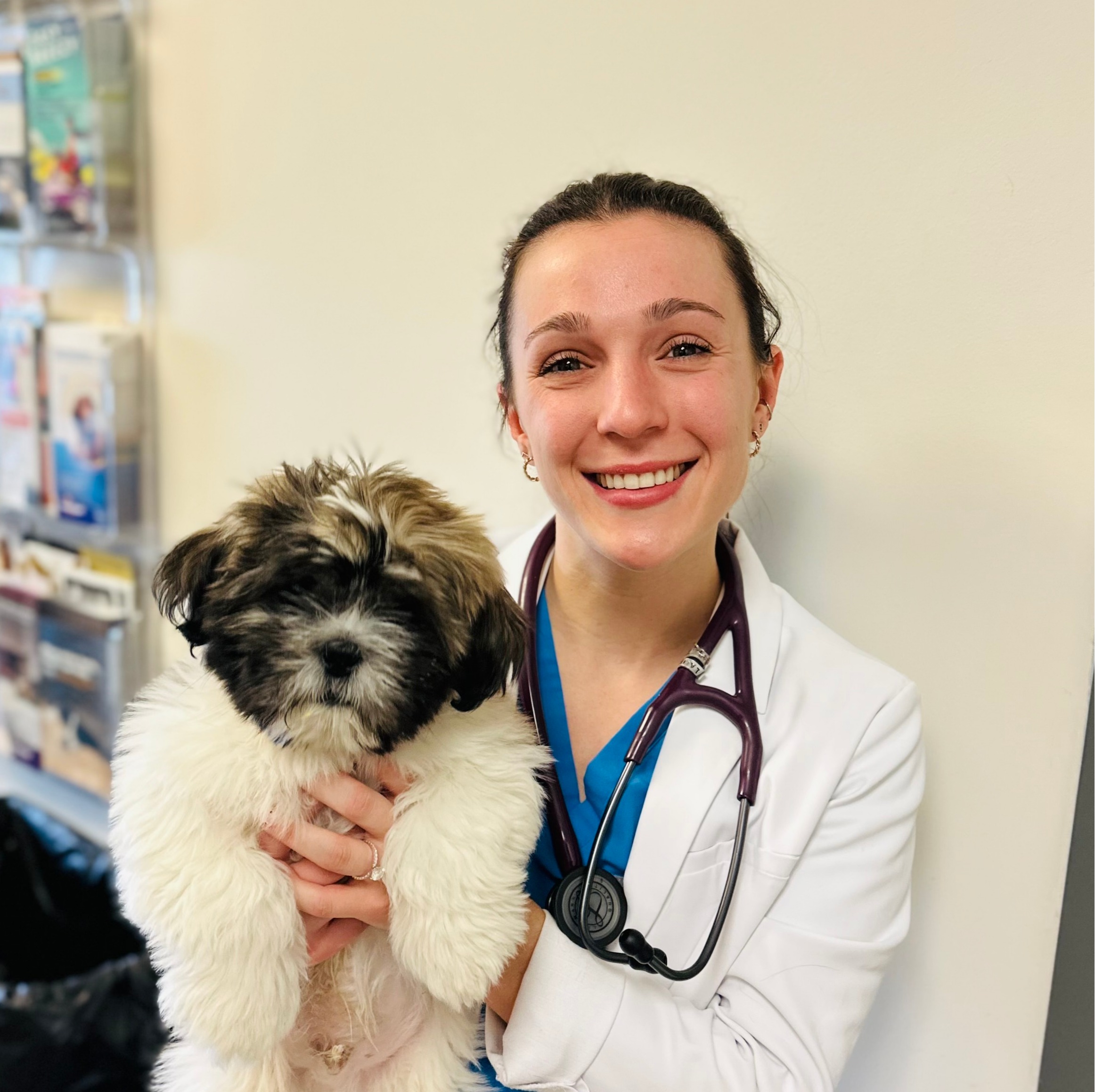 Dr. Laura Brooks | Andover Animal Hospital