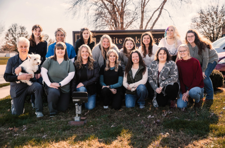 Experienced Veterinarians in Springfield, IL | White Oaks West Animal ...