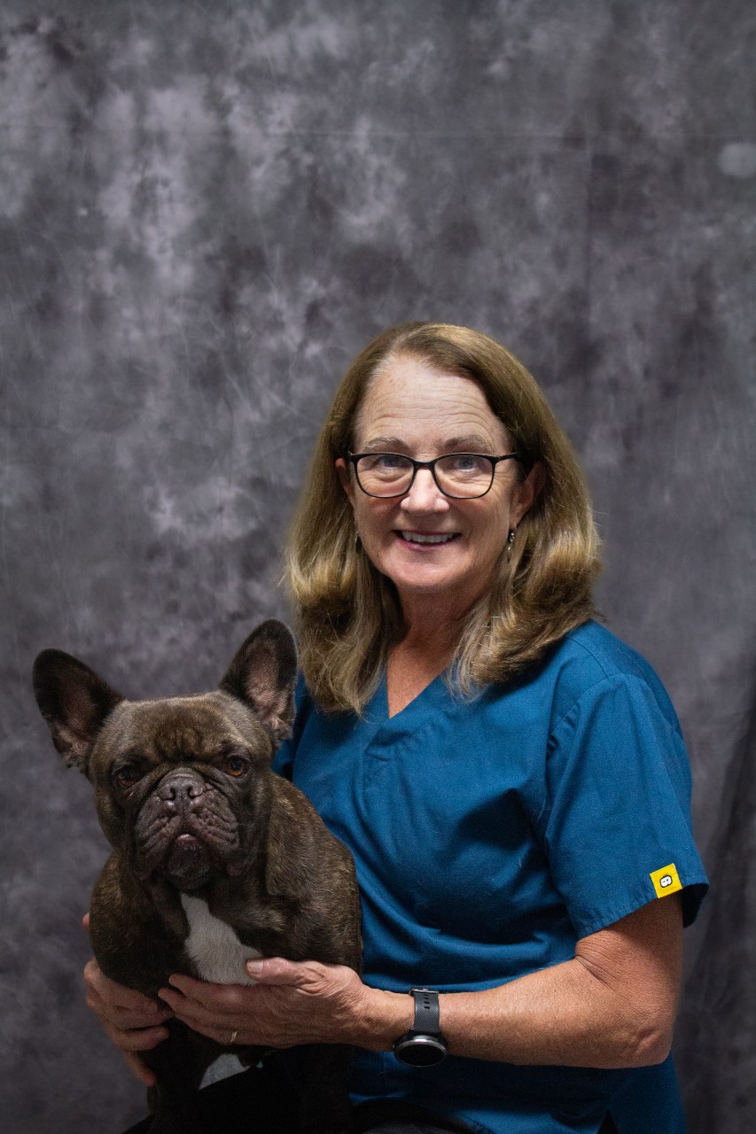 Summerside's Premier Veterinarians | Summerside Animal Hospital