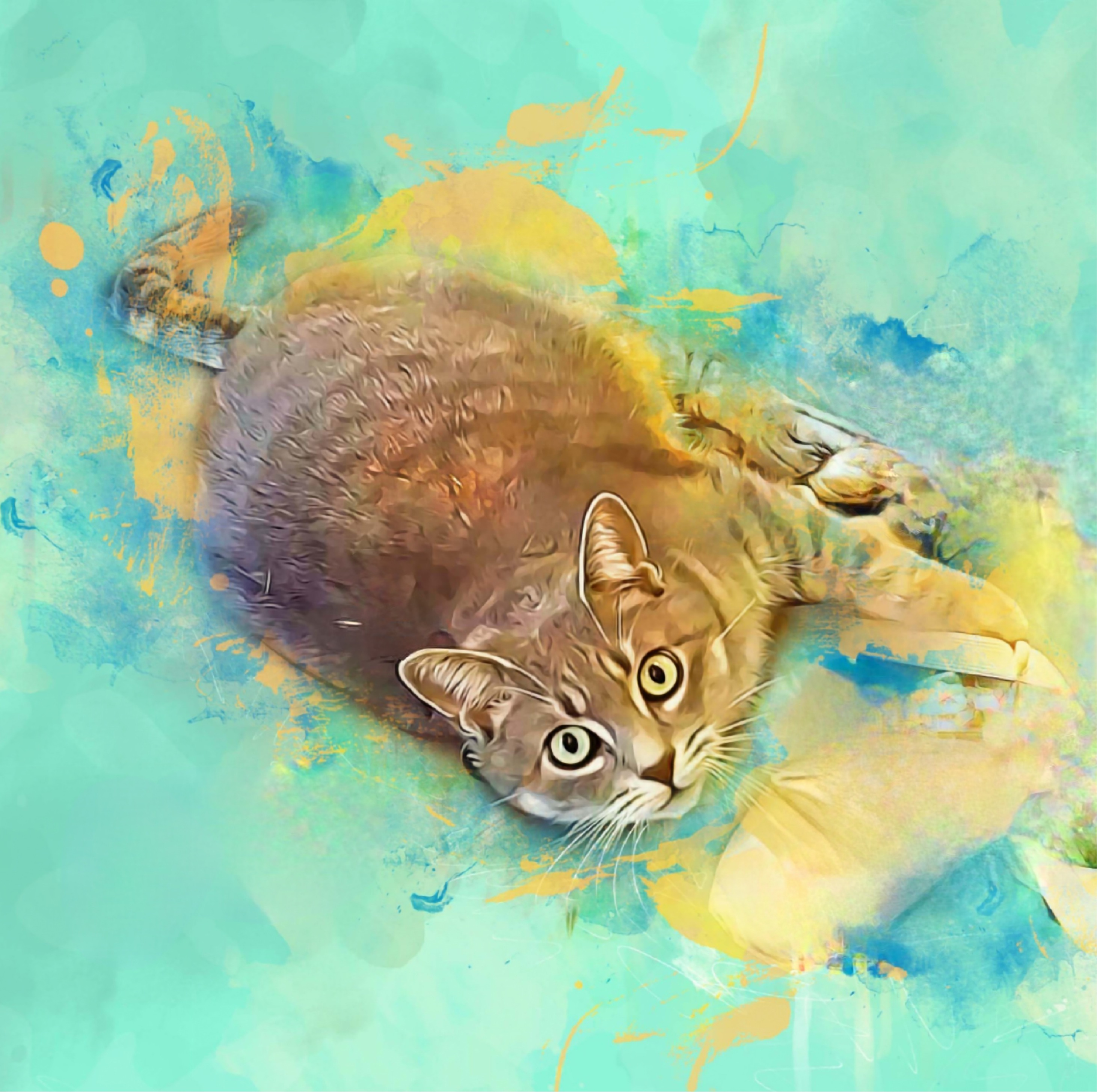 Our Animal Hospital Staff in Ancaster, ON | Beattie Pet Hospital - Ancaster