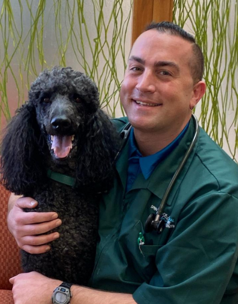Our Animal Hospital Staff | Springbrook Animal Care Center