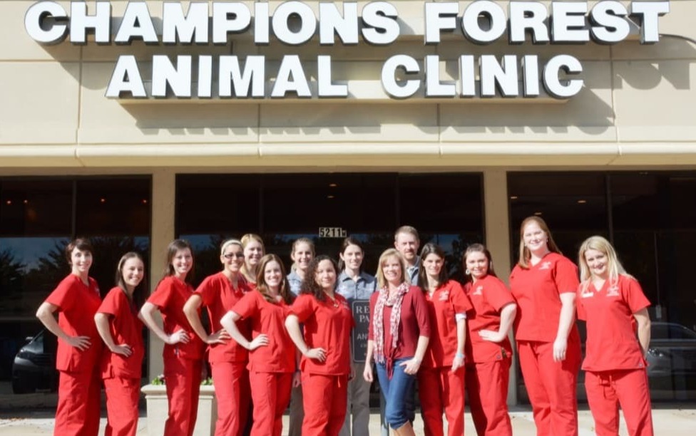 About Us | Champions Forest Animal Clinic