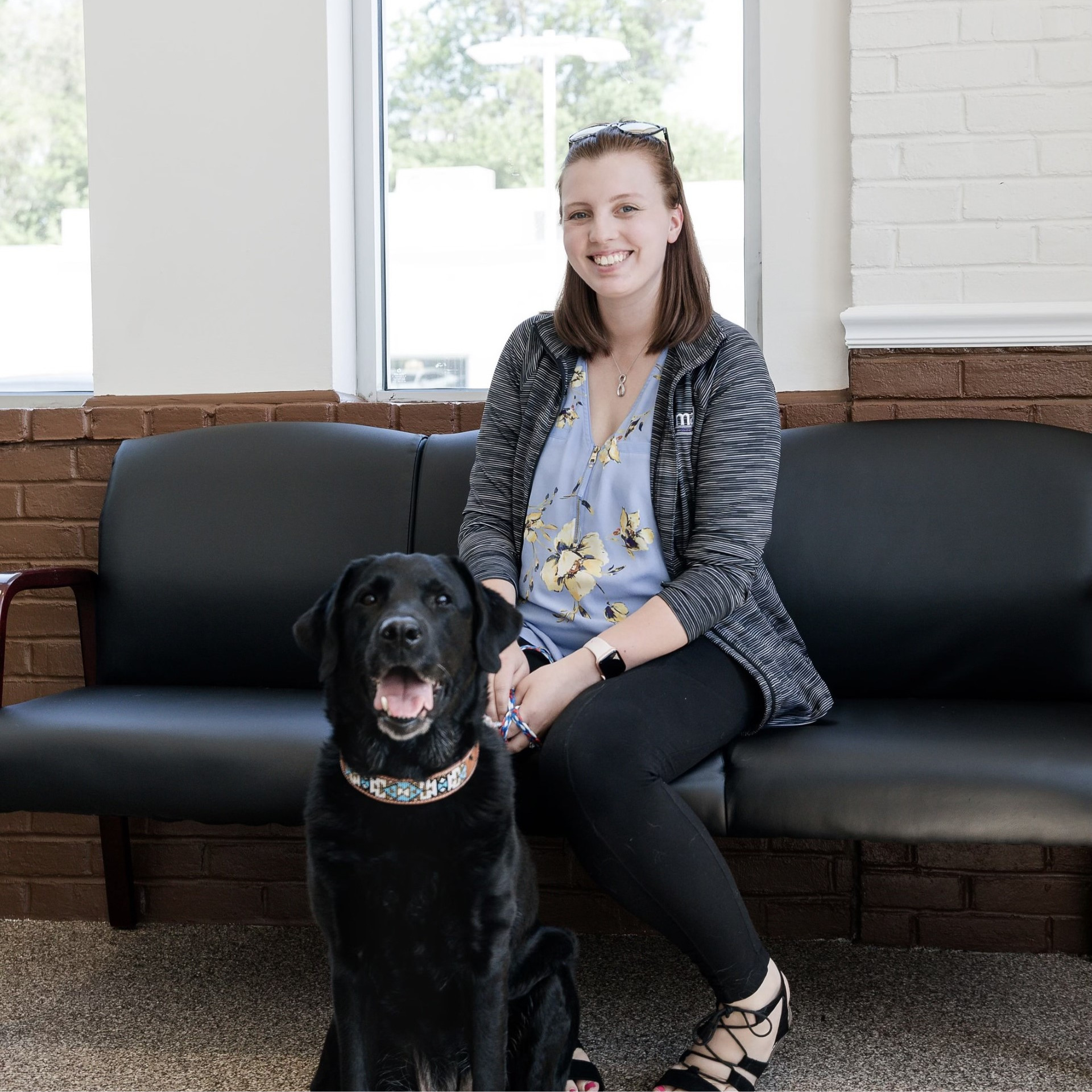Our Team | Perry Hall Animal Hospital