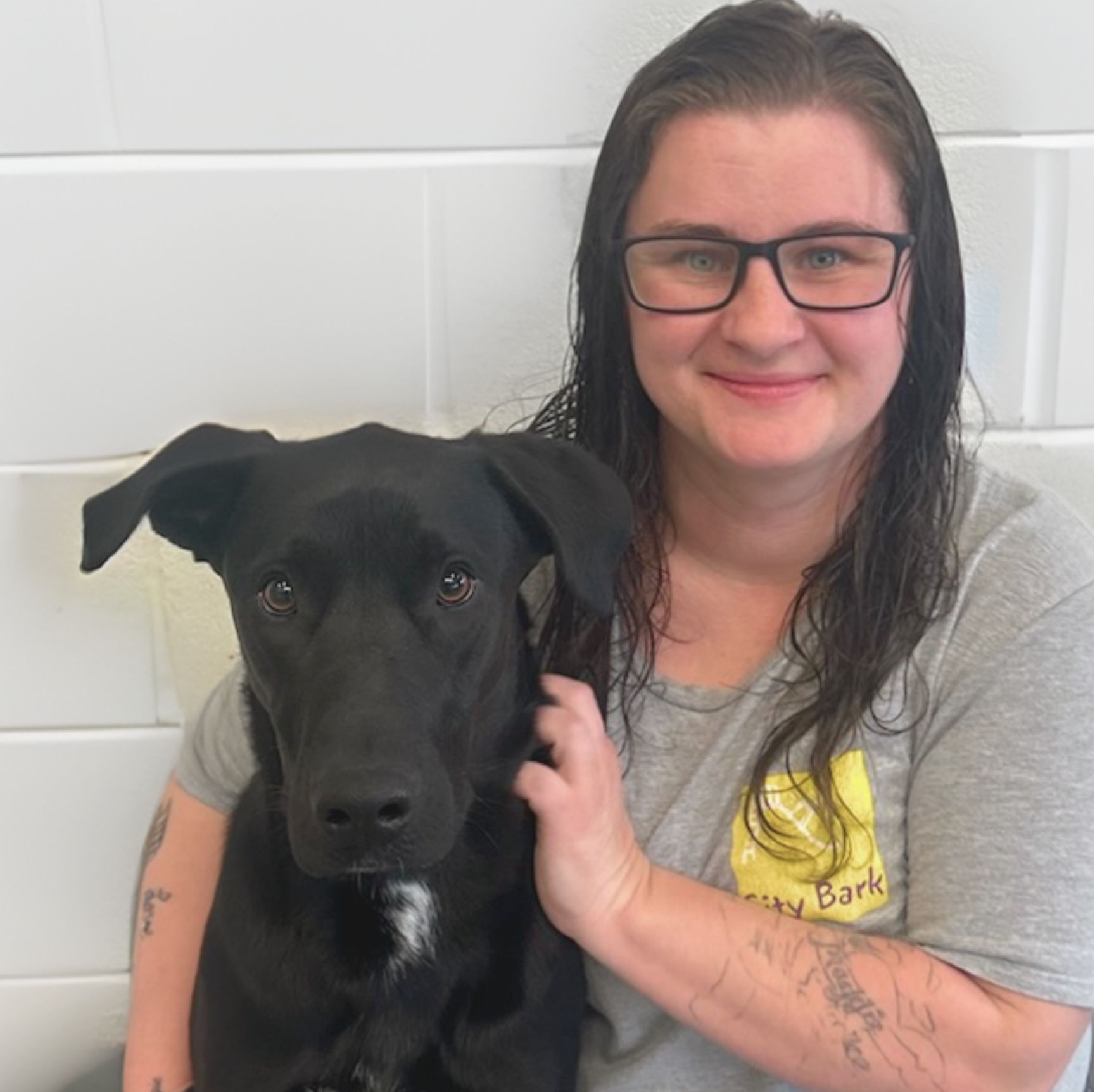 Our Team | City Bark