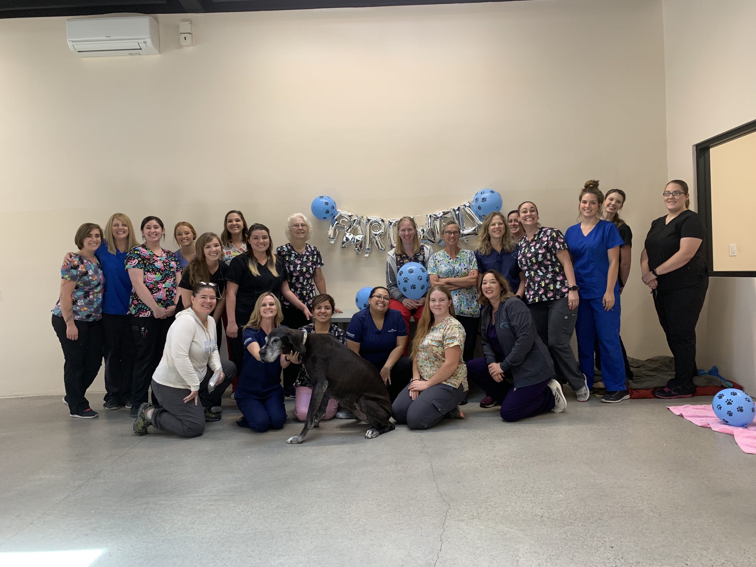 Careers | ABC Veterinary Hospital