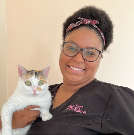 Whitney | Houston Cat Hospital
