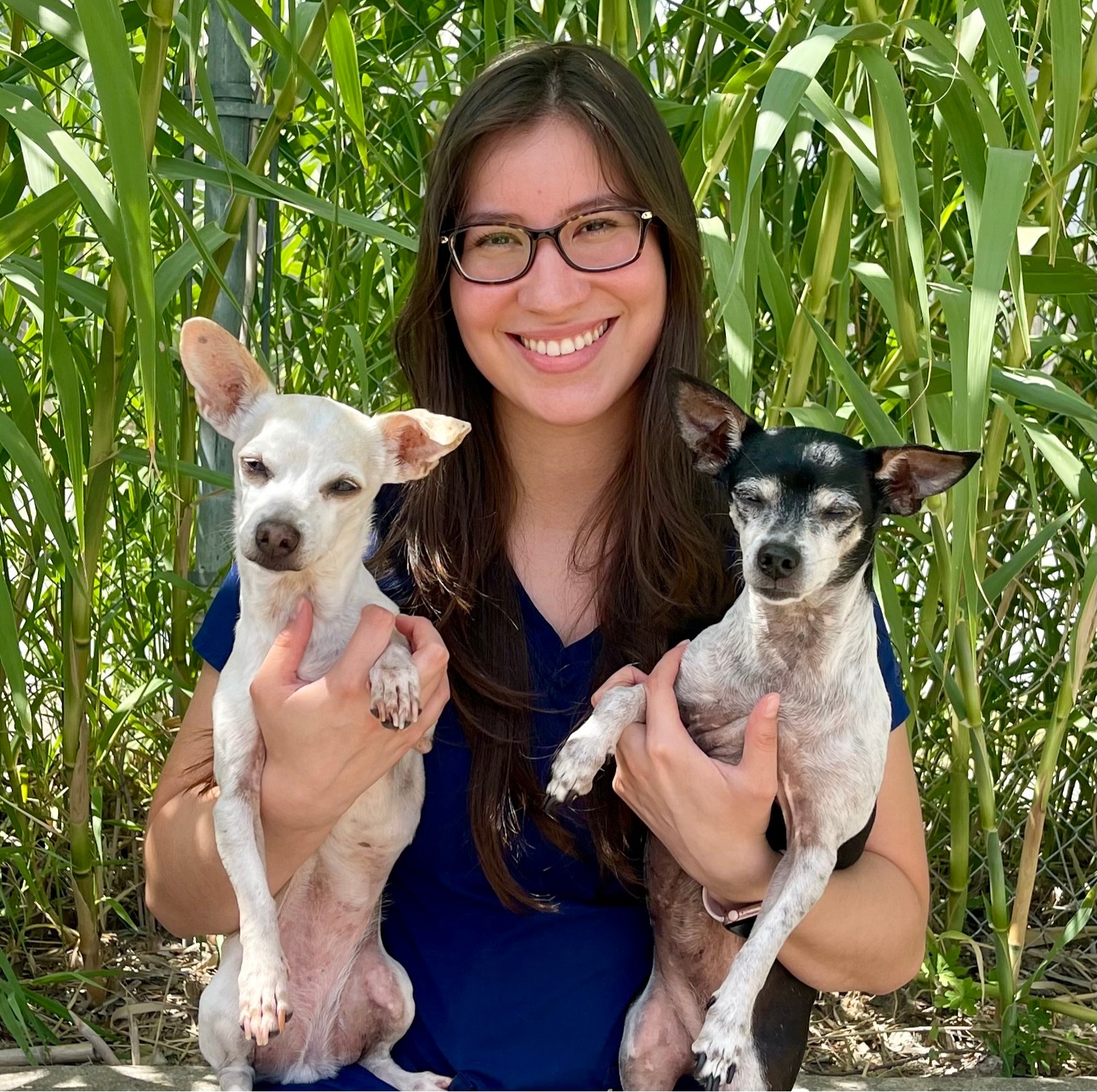 Staff | North 10th Street Animal Hospital