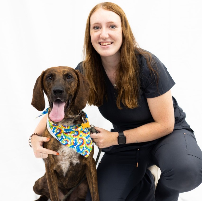 Staff | Vinton Veterinary Hospital