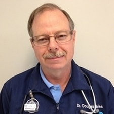 Meet Our Veterinary Team in Denver, CO | Broadview Animal Clinic