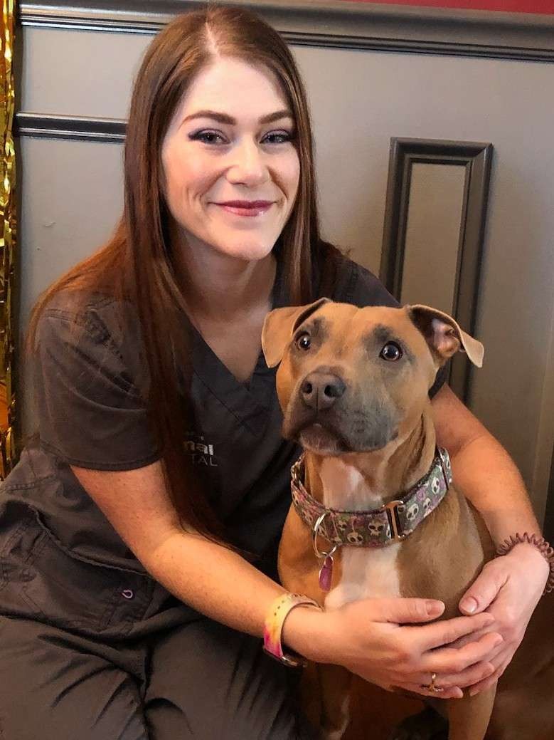 Staff | Elmwood Grove Animal Hospital