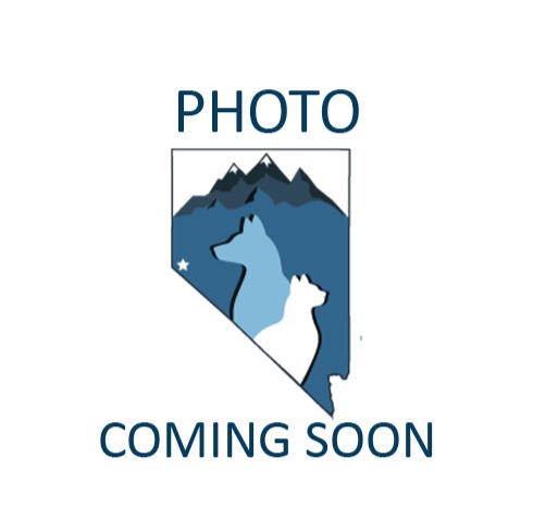 Staff | Carson Valley Veterinary Hospital