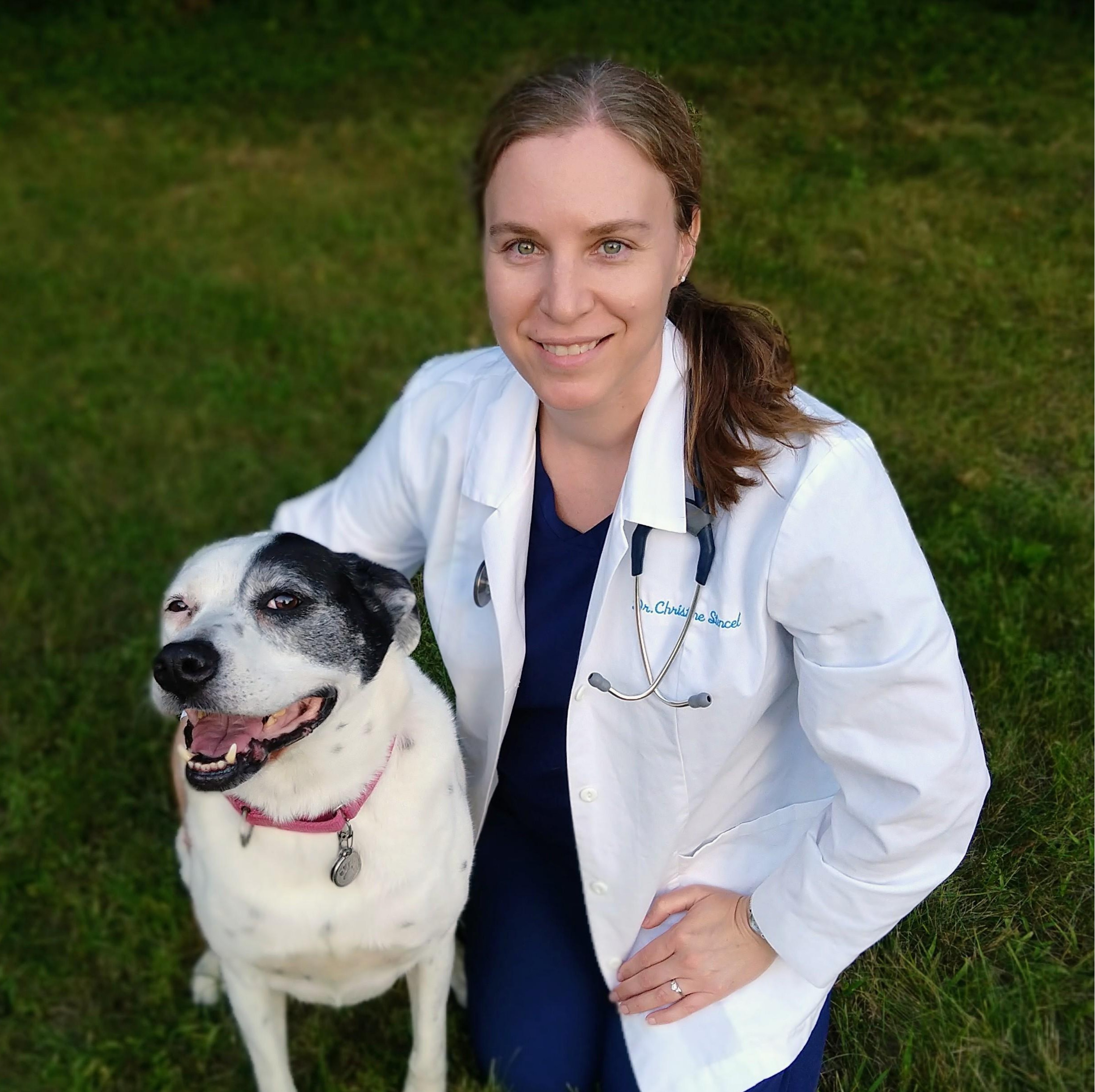 Our Veterinarians in Milwaukee, WI | Lakeside Animal Hospital