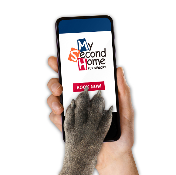 Homepage | My Second Home