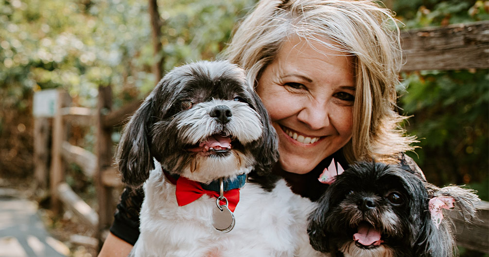 Veterinarian in Bothell, WA | North Creek Pet Hospital