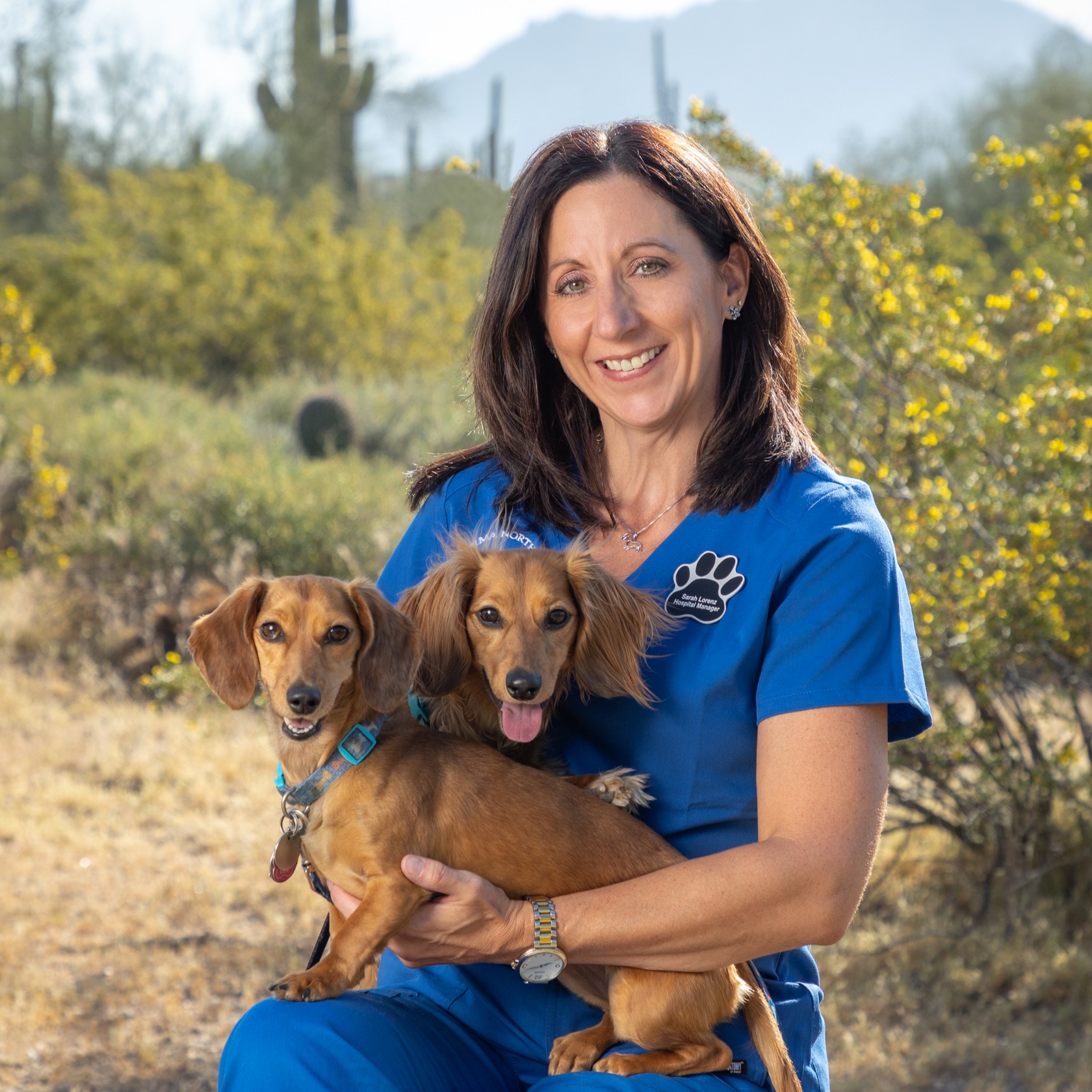 Our Veterinarians in Scottsdale, AZ | Pima North Animal Hospital