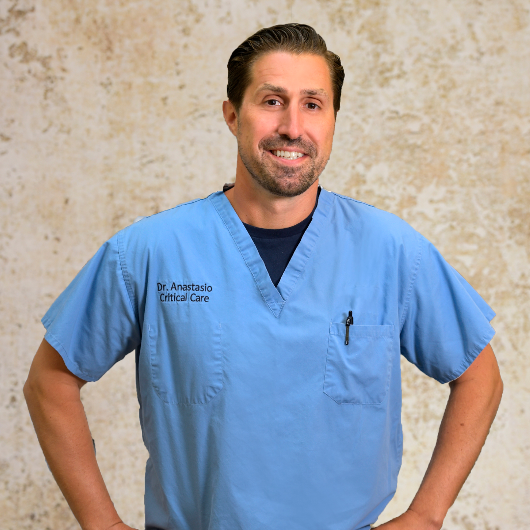 Our Veterinarians in Tinton Falls, NJ | Red Bank Veterinary Hospital ...