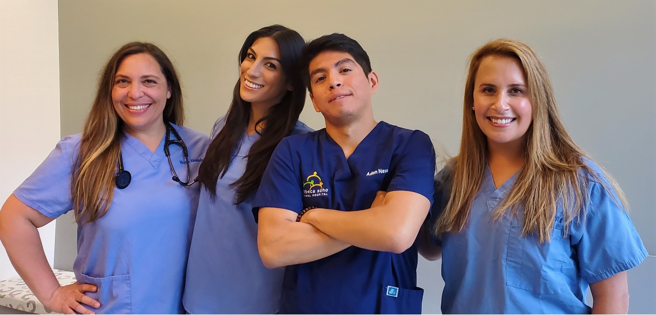 Gallery | Tribeca Soho Animal Hospital