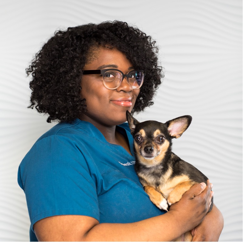 Our Team | Animal Specialty Center