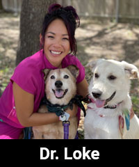 Our Austin, TX Veterinarians | South Park Animal Hospital