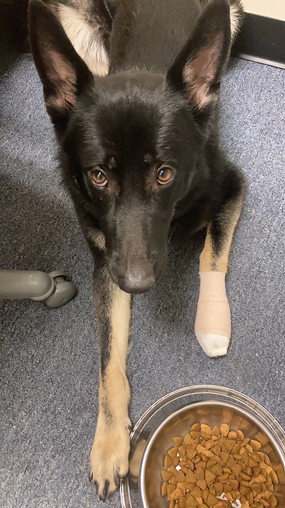 Veterinary Facilities in Tigard, OR | Canterbury Animal Hospital