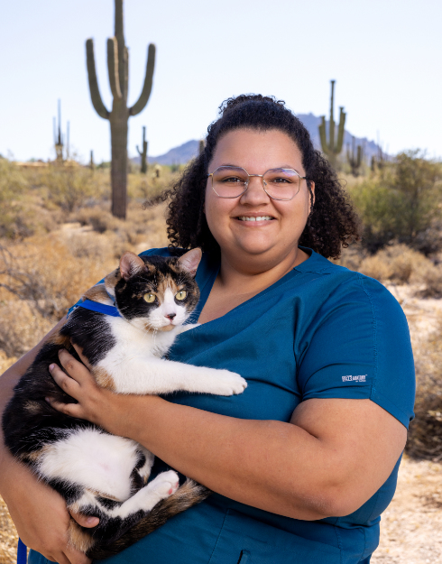 Our Veterinarians in Scottsdale, AZ | Pima North Animal Hospital