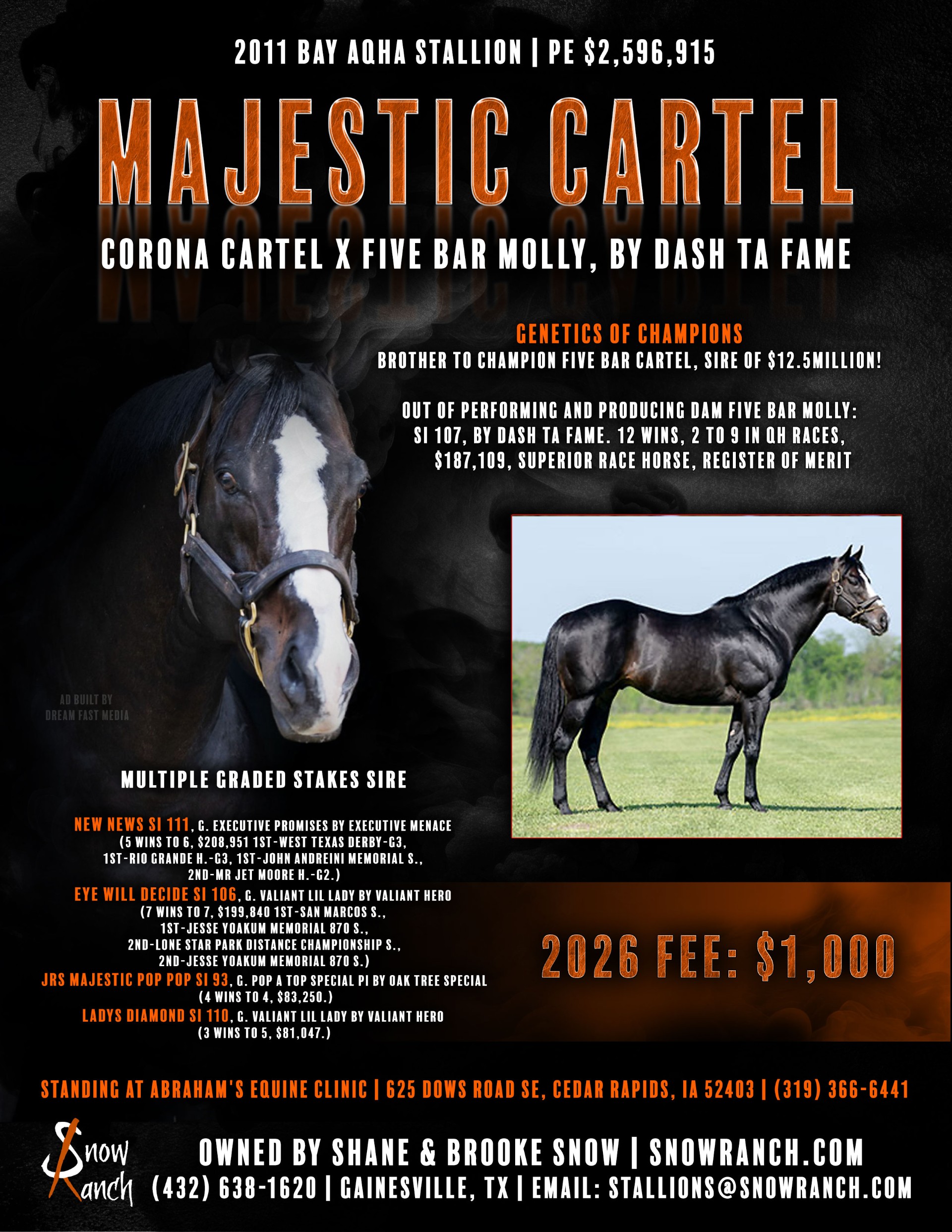 Abraham's Equine Clinic - Majestic Cartel | Abraham's Equine Clinic