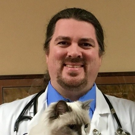 Staff | Cat Thyroid Center